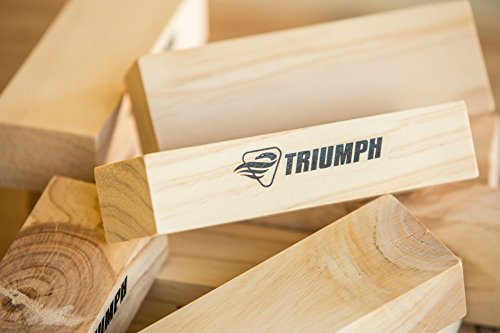 Triumph Sports Triumph Large Tumble Tower - Includes 54 Wood Tumble Blocks and Carry Case