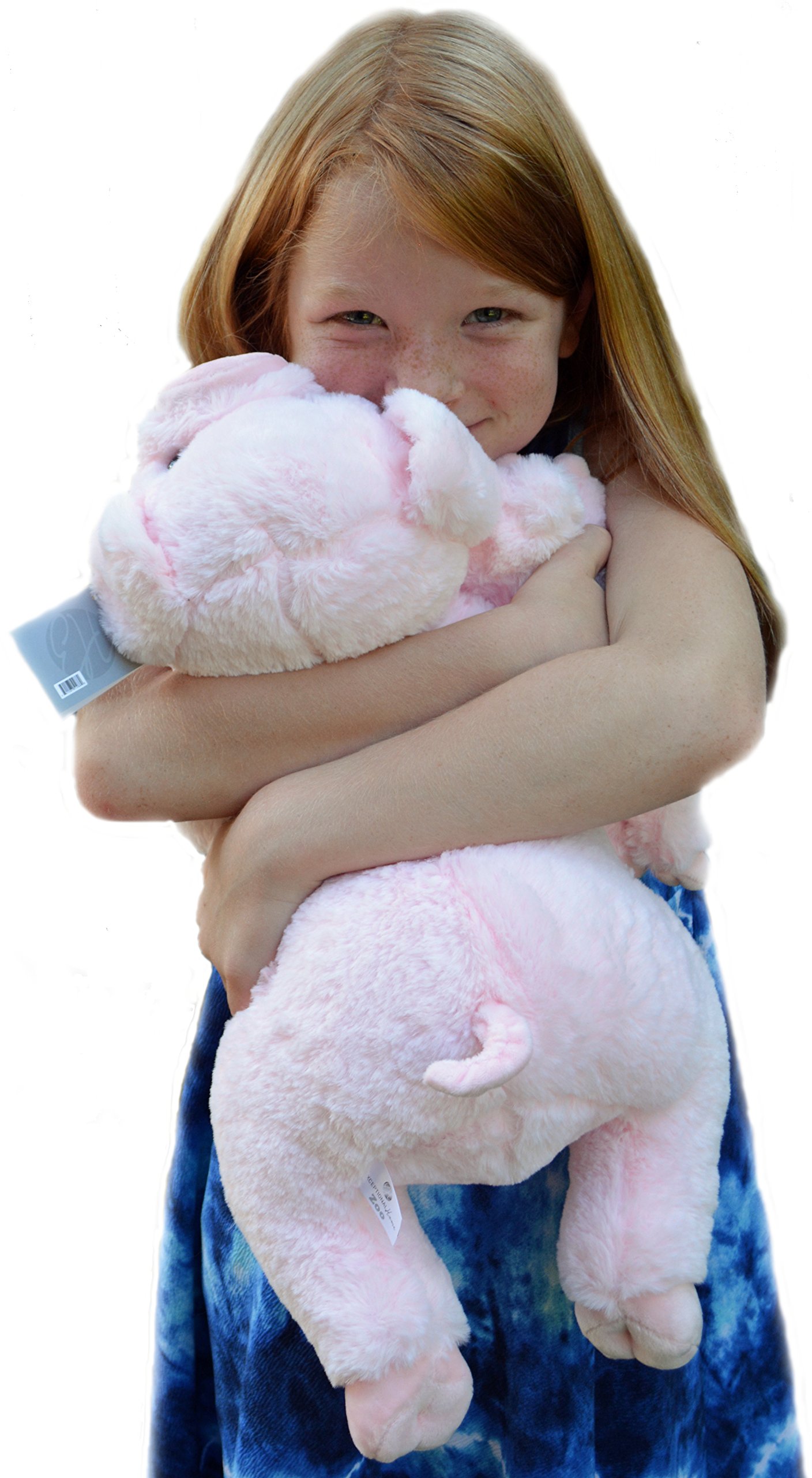 Mother & Baby Stuffed Pig Plush Toy Set | Super Soft Pig Stuffed Animal | Cute Plushies for Kids’ Bedroom | 17" Stuffed Animals for Girls & Boys | Farm Animal Toys by Exceptional Home