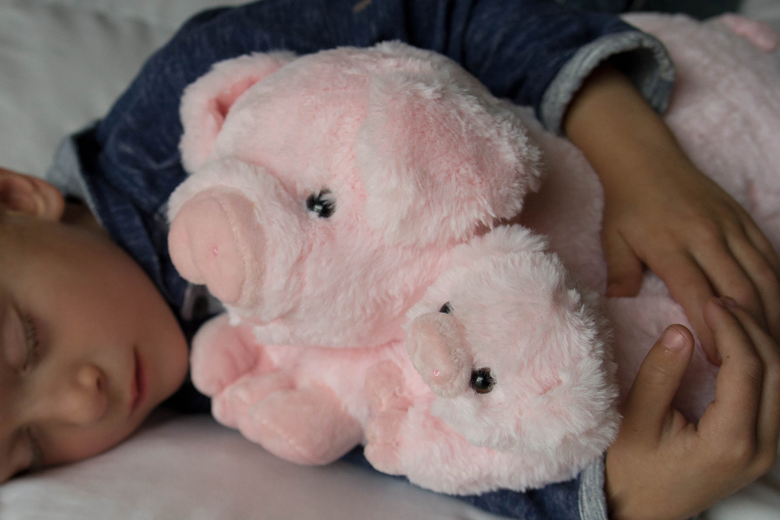 Mother & Baby Stuffed Pig Plush Toy Set | Super Soft Pig Stuffed Animal | Cute Plushies for Kids’ Bedroom | 17" Stuffed Animals for Girls & Boys | Farm Animal Toys by Exceptional Home