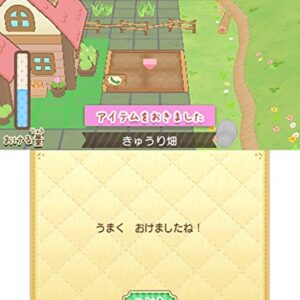 【 Nintendo 3DS 】Corner Gurashi Make the unevenness 【 Japanese ver 】Japanese language