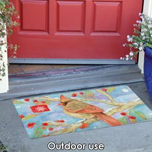 Toland Home Garden 800262 Noel Cardinal Winter Door Mat 18x30 Inch Bird Outdoor Doormat for Entryway Indoor Entrance