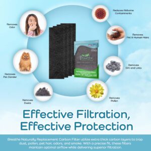 Breathe Naturally - Replacement Carbon Filter 4-Pack for Idylis IAP-GG-125, Compatible with Idylis Air Purifier Filter E, Fits Multiple Models - Plastic, Black – Made in USA, Weight - 2.39 Ounces