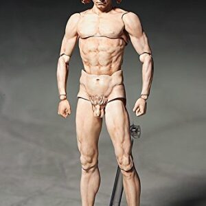 FREEing Table Museum The Vitruvian Man Figma Action Figure