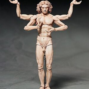 FREEing Table Museum The Vitruvian Man Figma Action Figure