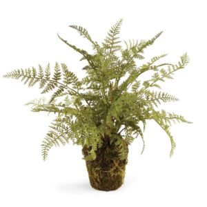 napa home & garden soft fern drop-in 13"