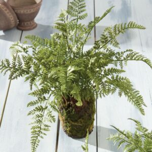 NAPA Home & Garden Soft Fern Drop-in 13"