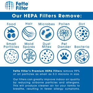 Fette Filter - FLT4825 Premium True HEPA H13 Filter B Compatible with GermGuardian Air Purifier AC4825 Series AC4300BPTCA AC4850PT AC4900CA CDAP4500BCA Oransi Finn Black & Decker BXAP148 1-Pack