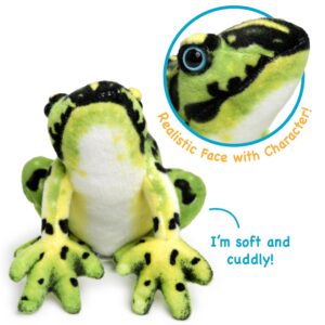 TigerHart Frisco The Frog - 10 Inch Poison Dart Tree Toad Stuffed Animal Plush