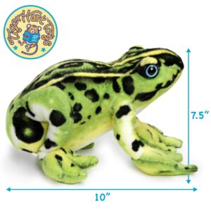 TigerHart Frisco The Frog - 10 Inch Poison Dart Tree Toad Stuffed Animal Plush