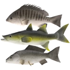 gresorth 3 pack fake fish pretend artificial black carp lifelike striped bass ornament snapper hanging for home garden kitchen toy party decoration