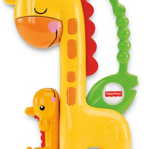 Fisher-Price Playful Pals Gift Set