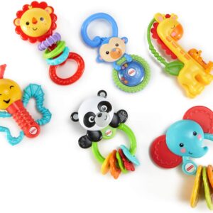 Fisher-Price Playful Pals Gift Set