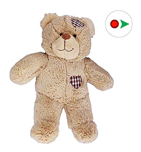 Record Your Own Plush 8 Inch Brown Patches Teddy Bear - Ready 2 Love in a Few Easy Steps