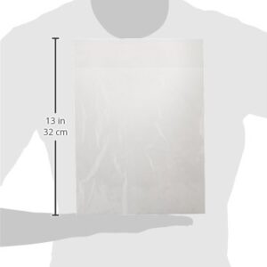 100-9 x 12" Poly Clear Plastic T-Shirt/Apparel Bags 1 Mil 2" Back Flap Lock