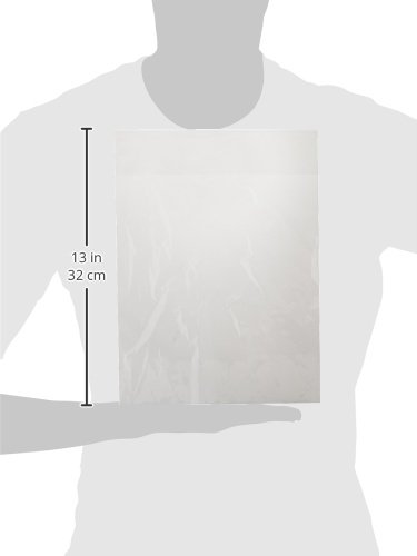 100-9 x 12" Poly Clear Plastic T-Shirt/Apparel Bags 1 Mil 2" Back Flap Lock