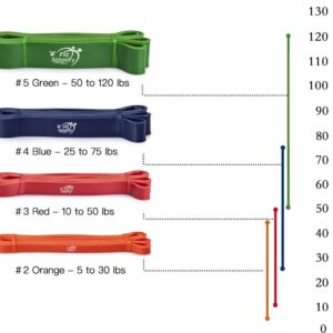 Fit Simplify Pull Up Assist Band - Stretching Resistance Band - Mobility and Powerlifting Bands - Exercise Pull Up Band