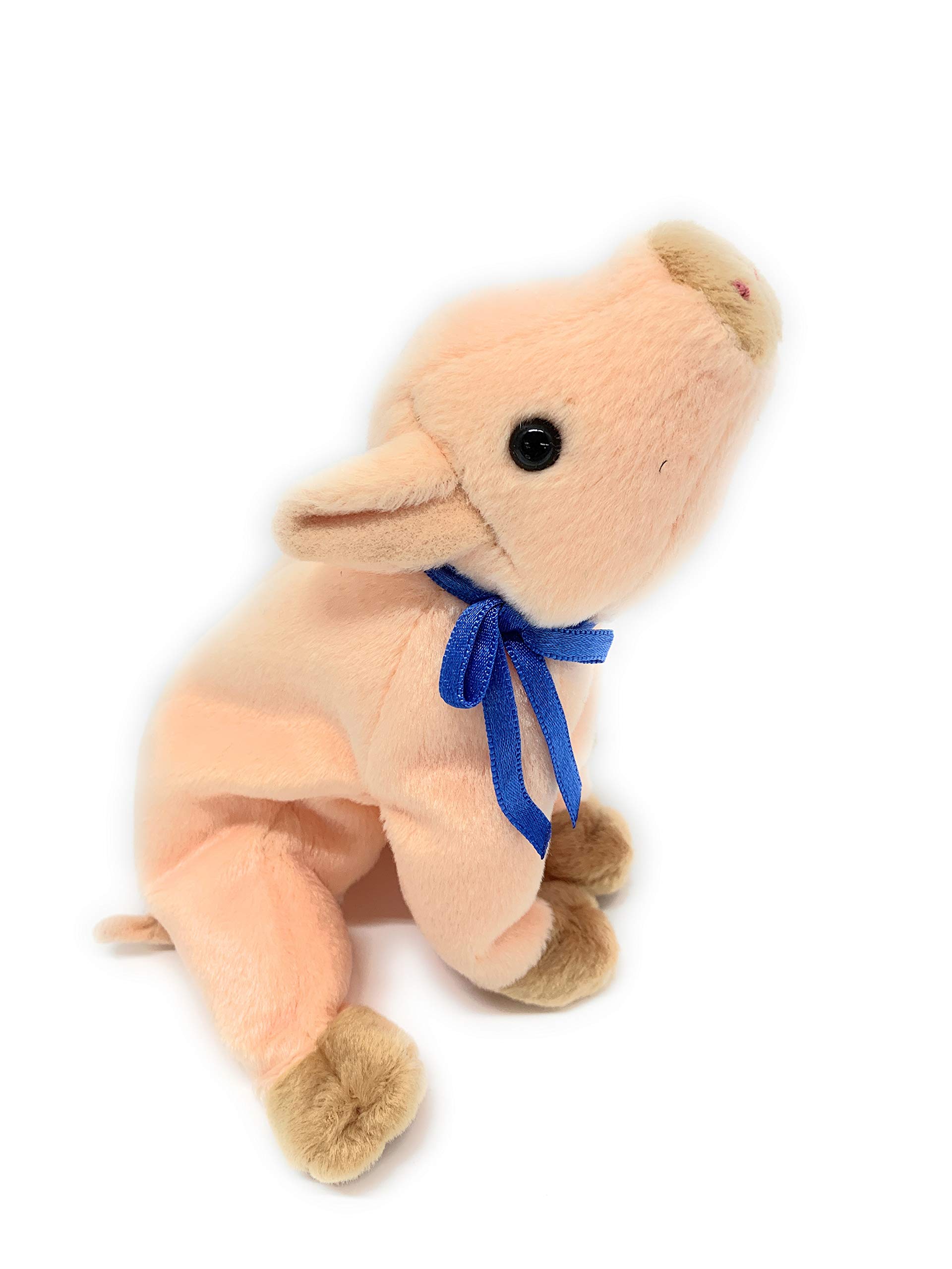 TY Beanie Baby - KNUCKLES the Pig [Toy]