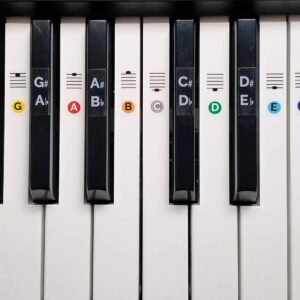 Color Piano Keyboard Stickers- Removable, Transparent, for White & Black Keys