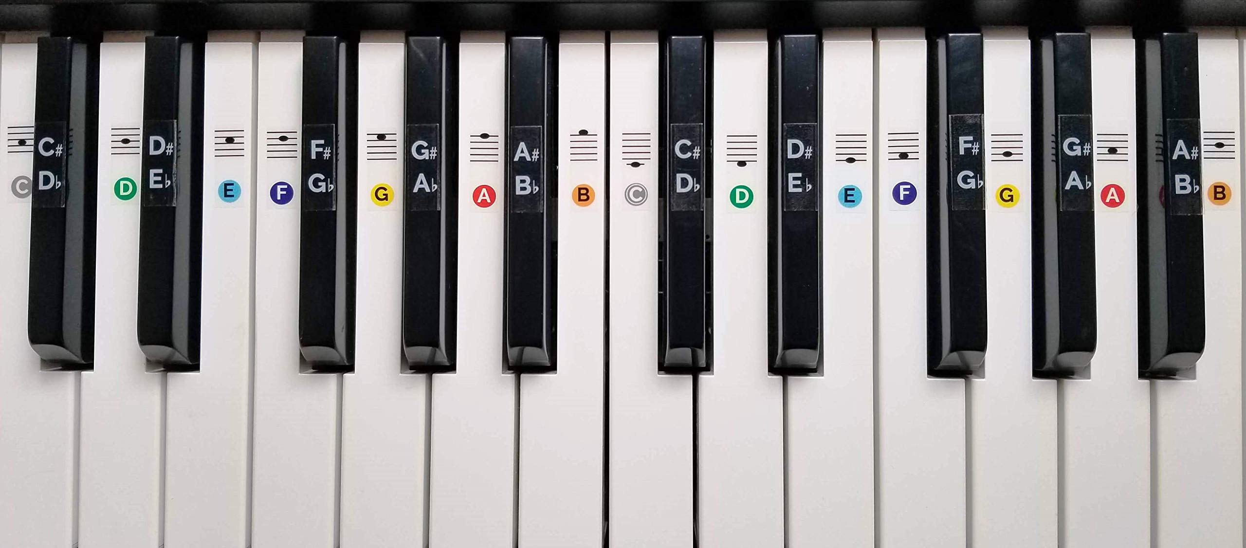 Color Piano Keyboard Stickers- Removable, Transparent, for White & Black Keys