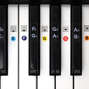 Color Piano Keyboard Stickers- Removable, Transparent, for White & Black Keys