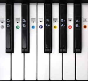 color piano keyboard stickers- removable, transparent, for white & black keys