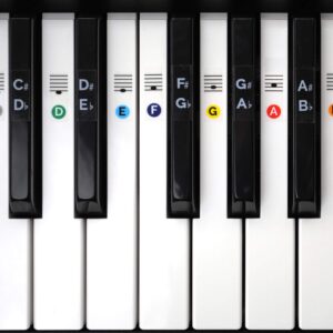 Color Piano Keyboard Stickers- Removable, Transparent, for White & Black Keys