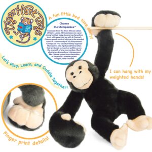 TigerHart Chance The Chimpanzee - 14 Inch (with Hanging Arms Outstretched) Large Hanging Monkey Chimp Stuffed Animal Plush Ape