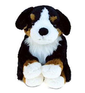 dollibu bernese mountain dog plush - super soft stuffed animal bernese mountain dog, cute pet life brown stuffed dog plush, adorable plush animal dog gift for baby, kids, and adults - 8 inches