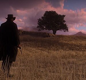 PS4 - Red Dead Redemption 2 - [PAL DE]