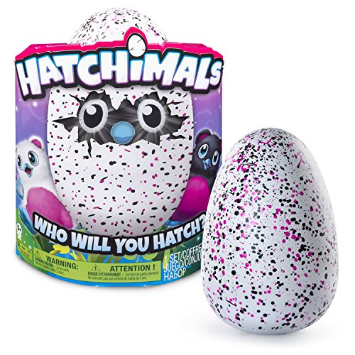 Hatchimals - Hatching Egg - Interactive Creature - Bearakeet - Pink/Black Egg - Target Exclusive by Spin Master