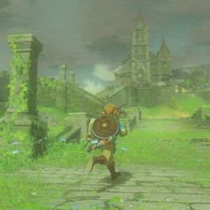 The Legend of Zelda: Breath of the Wild Master Edition - Wii U