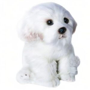 Ganz Heritage Collection Bichon Frise 12"