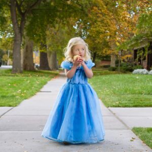 Little Adventures Deluxe Cinderella Butterfly Princess Dress Up Costume for Girls (Large Age 5-7) - Machine Washable Child Pretend Play and Party Dress with No Glitter