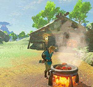 The Legend of Zelda: Breath of the Wild (Non-US Version)