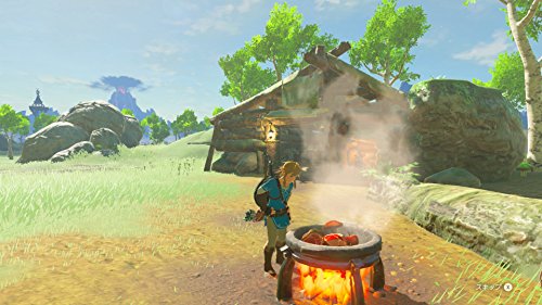 The Legend of Zelda: Breath of the Wild (Non-US Version)