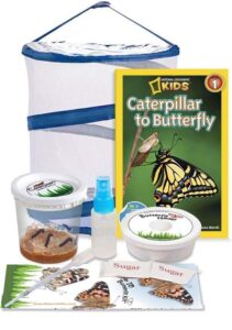 live butterfly growing complete kit - includes 5 live caterpillars - all-in-one set with net cage, food, and rearing supplies - book bundle