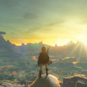 The Legend of Zelda: Breath of the Wild (Non-US Version)