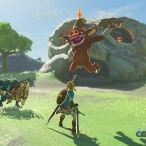 The Legend of Zelda: Breath of the Wild (Non-US Version)