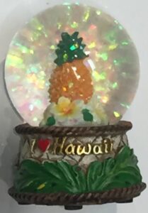 snowglobe pineapple hawaiian design