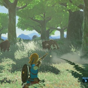 The Legend of Zelda: Breath of the Wild (Non-US Version)