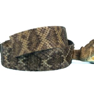 1.25" Rattlesnake Hat Band with Head & Rattle (598-HB204)