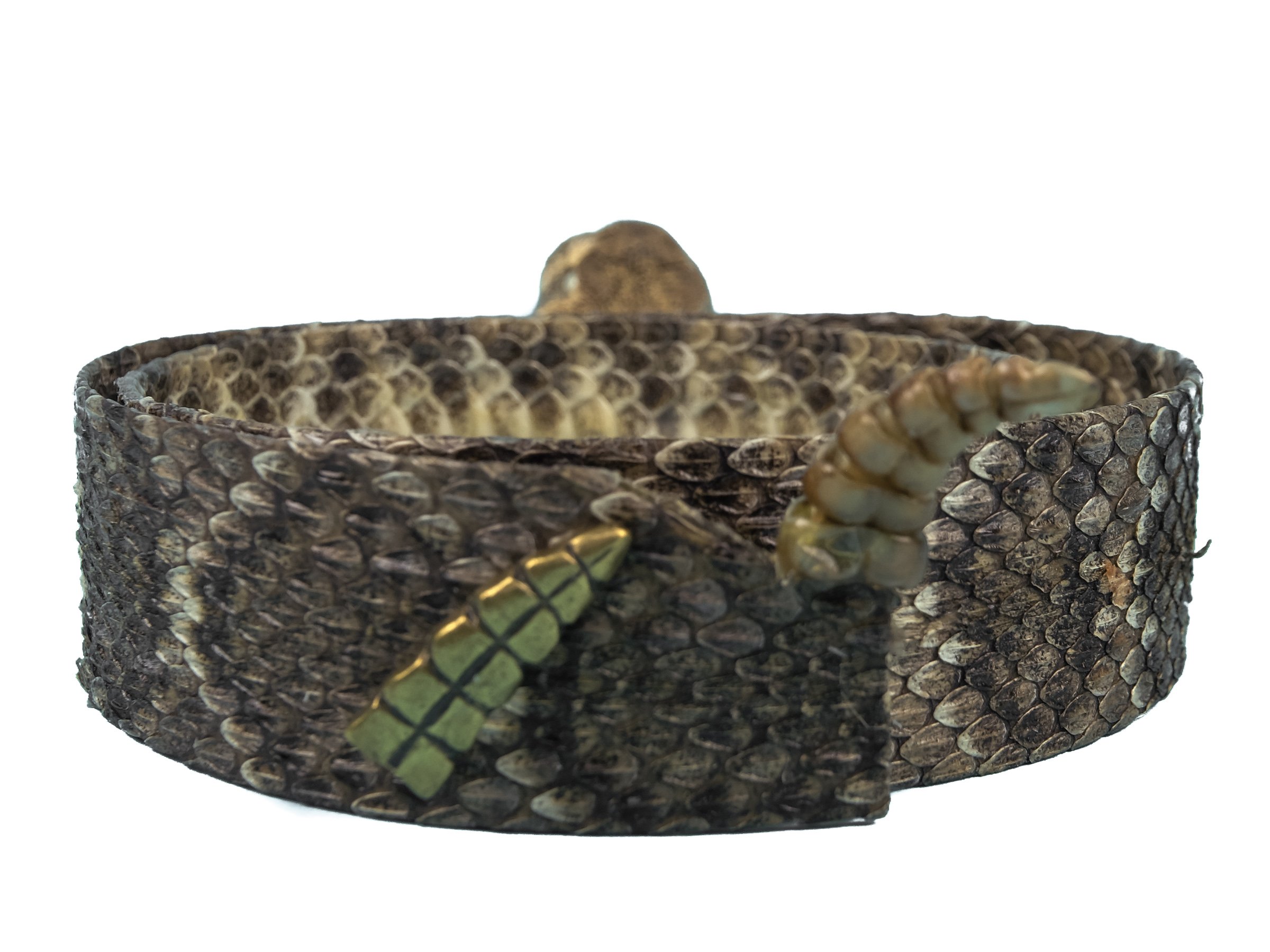 1.25" Rattlesnake Hat Band with Head & Rattle (598-HB204)