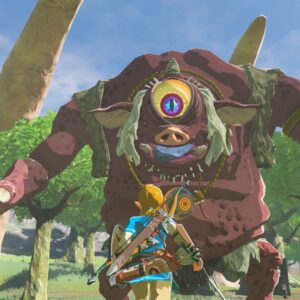 The Legend of Zelda: Breath of the Wild (Non-US Version)