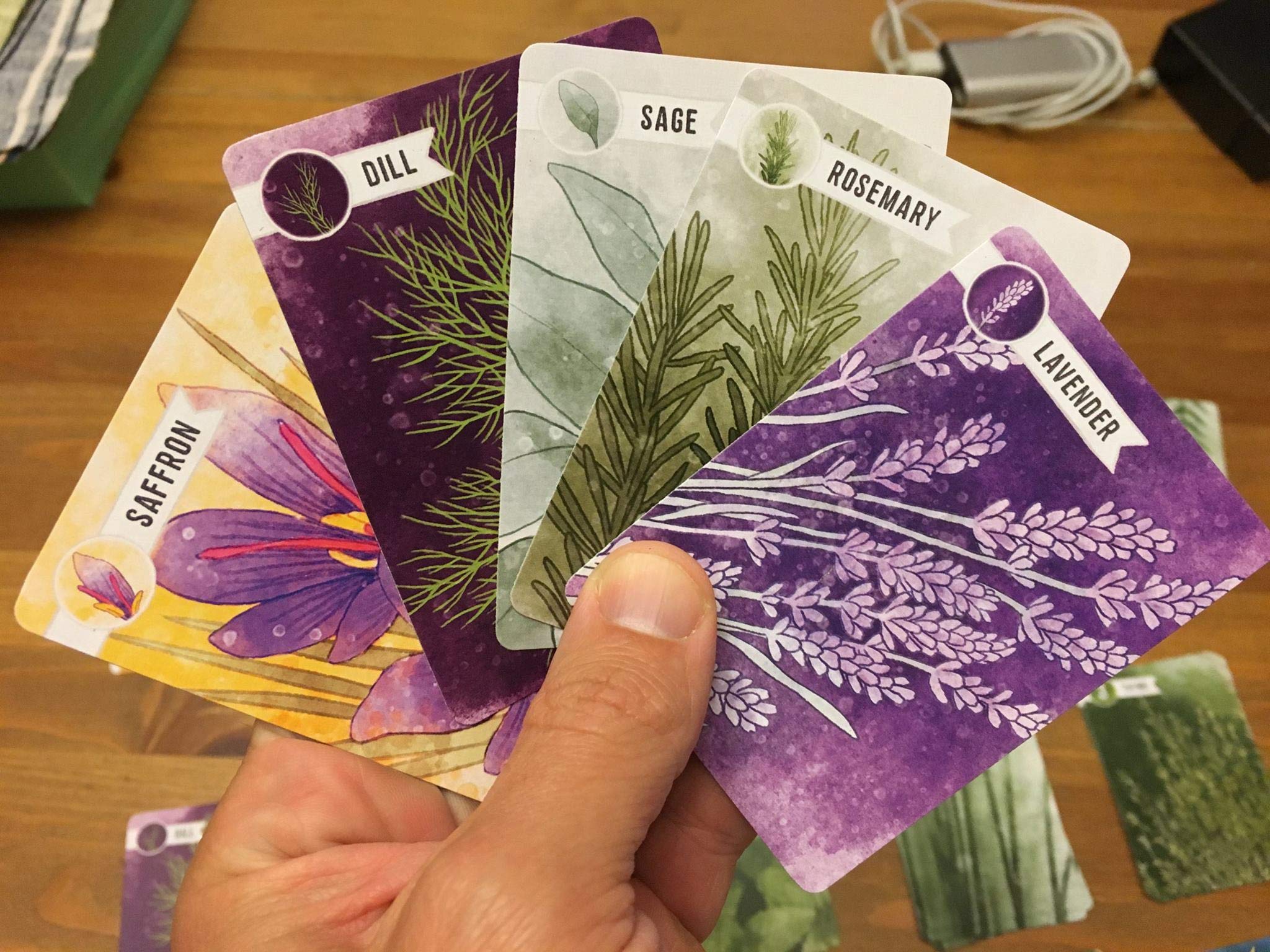 Pencil First Games Herbaceous Card Game – A Flavorful Set Collection Game of Garden Herbs and Containers by Pencil First Games for 1-4 Players