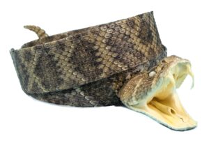 1.25" rattlesnake hat band with head & rattle (598-hb204)