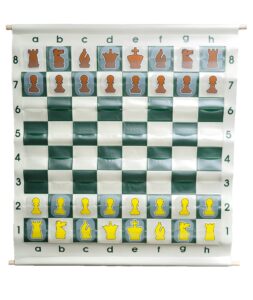 the house of staunton pouch-style chess demonstration set with deluxe carrying bag - clear plastic pieces