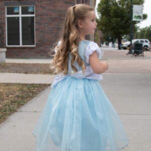 Little Adventures Deluxe Cinderella Princess Dress up Costume for Girls Small (Age 1-3) - Machine Washable Child Pretend Play and Party Dress with No Glitter