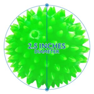 [5 Pack] Spiky Sensory Balls - Squeezy and Bouncy Fidget Toys - Sensory Toys – No BPA Phthalates Latex – School and Special Education Supply