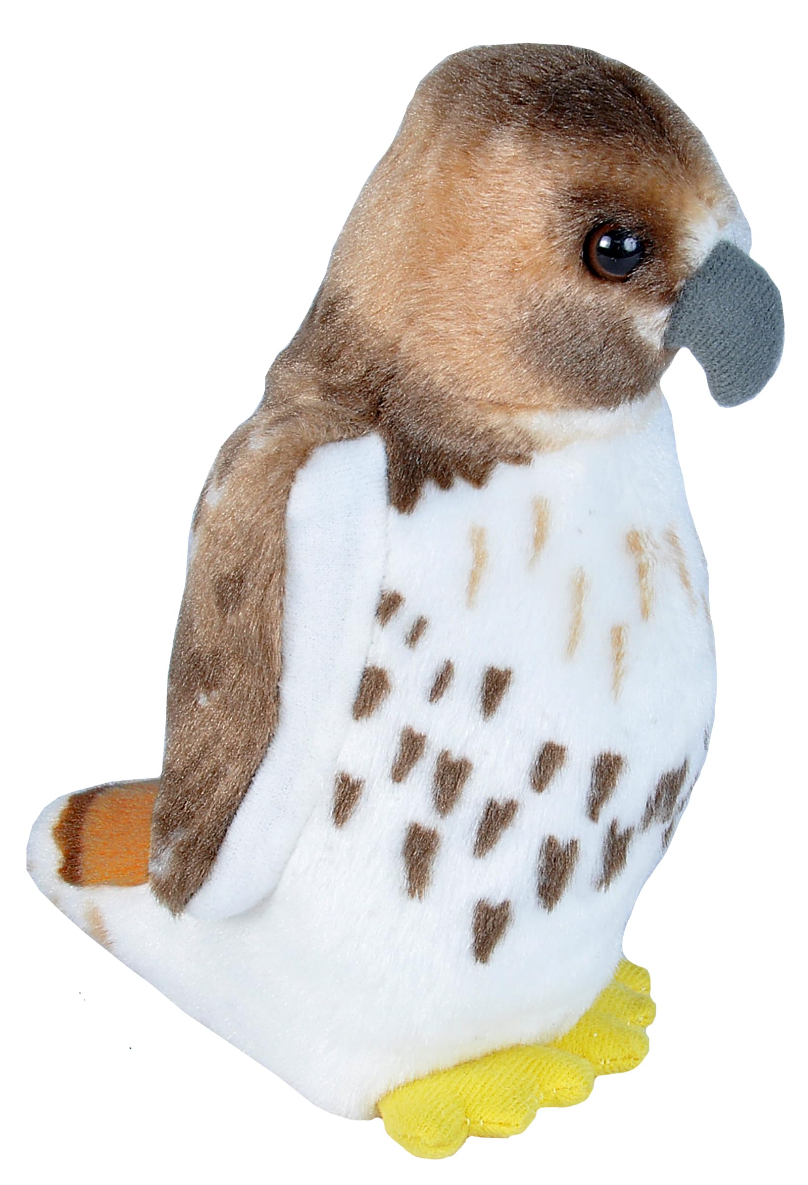 Wild Republic Audubon Birds Red Tailed Hawk Plush with Authentic Bird Sound, Stuffed Animal, Bird Toys for Kids & Birders