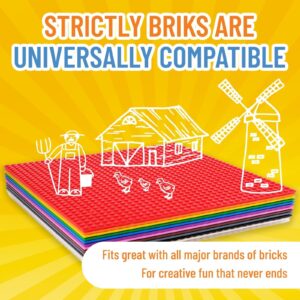 Strictly Briks 12 Pack Stackable Baseplates 10x10 - Building Brick Base Plates with 32 x 32 Studs, Mats, Bases, Boards, Sheets - Compatible with All Major Brands - Rainbow Colors